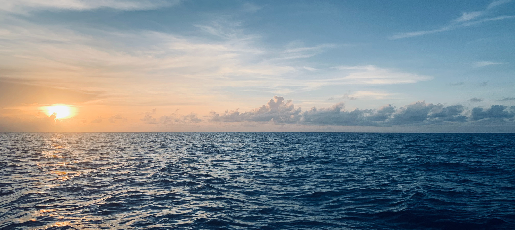 GOBI regional demonstration workshop for the NW Indian Ocean – The ...