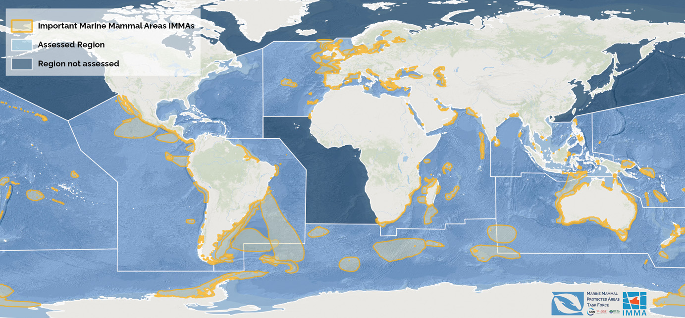 Important Marine Mammal Areas – The Global Ocean Biodiversity Initiative